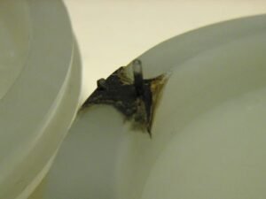 Burn Marks of Injection Molding - Zhongde